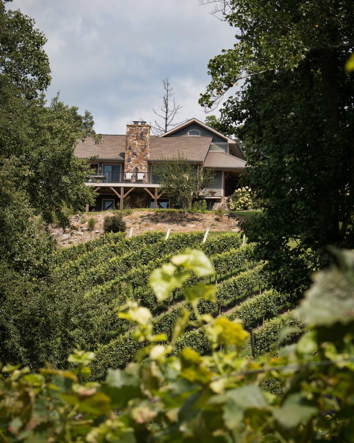 Caretakers - Souther Williams Vineyard